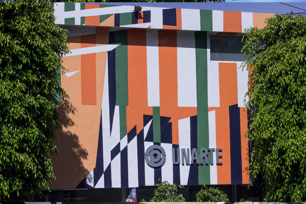 "Art must be expanded" Raymundo Sesma - LCA guide