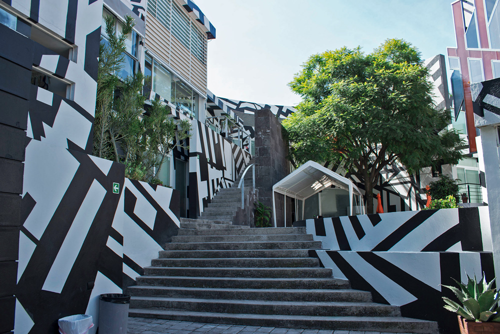 "Art must be expanded" Raymundo Sesma - LCA guide