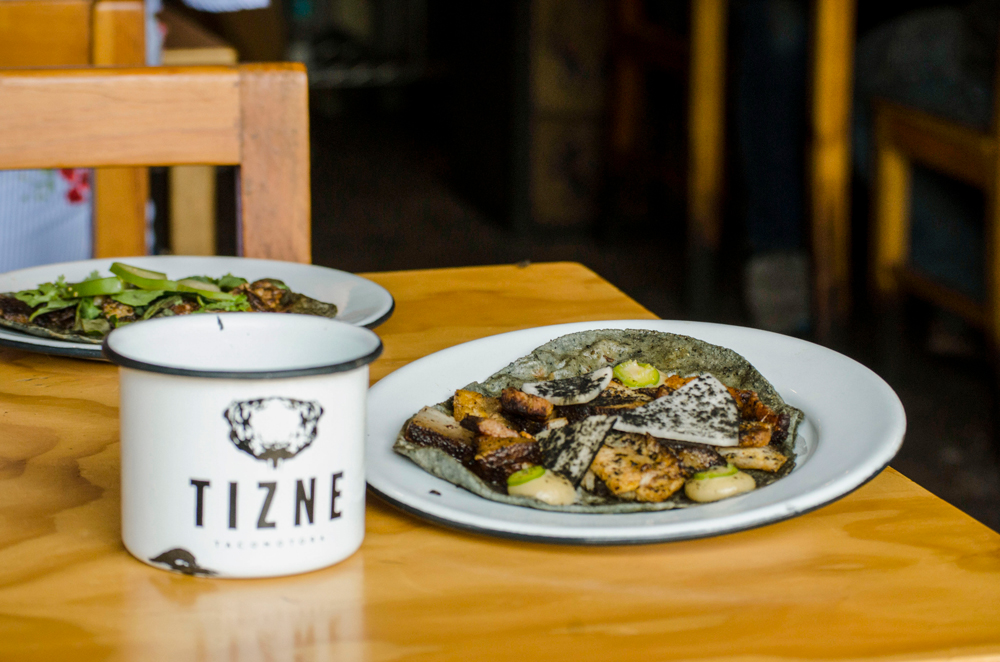 Tizne Tacomotora - Guía oca